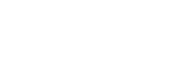 Negisign